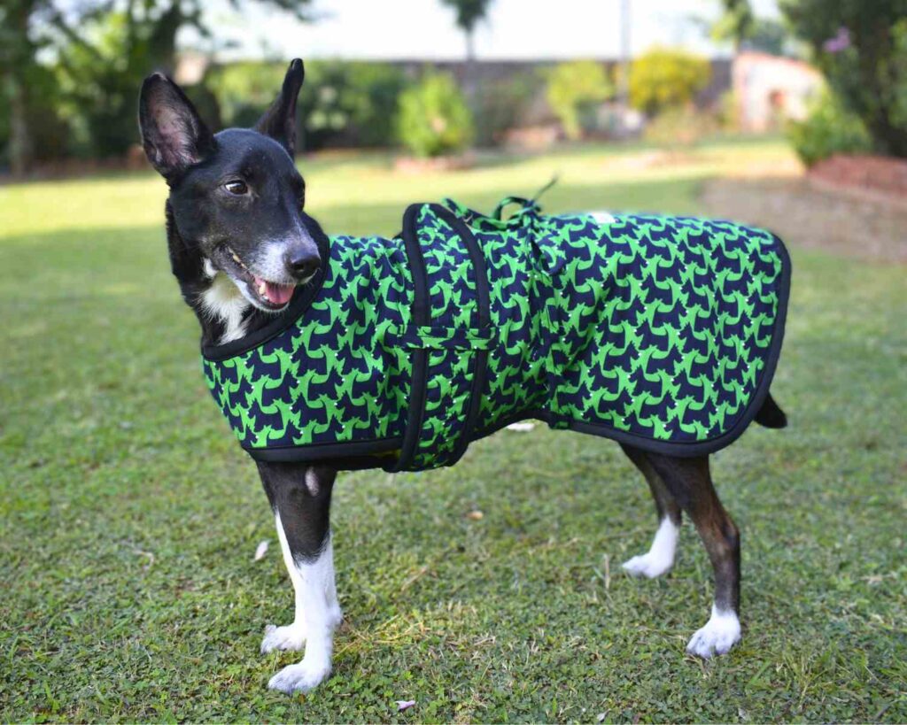 Pet Winter Coat | Dog Winter Coat | Winter Jacket for Pet | Coat for Dogs